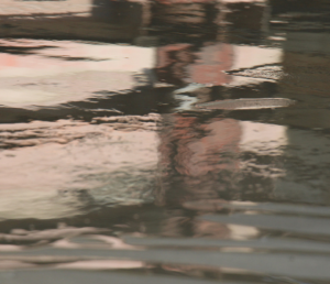 Type 1L - Curecrete Distribution, Inc.